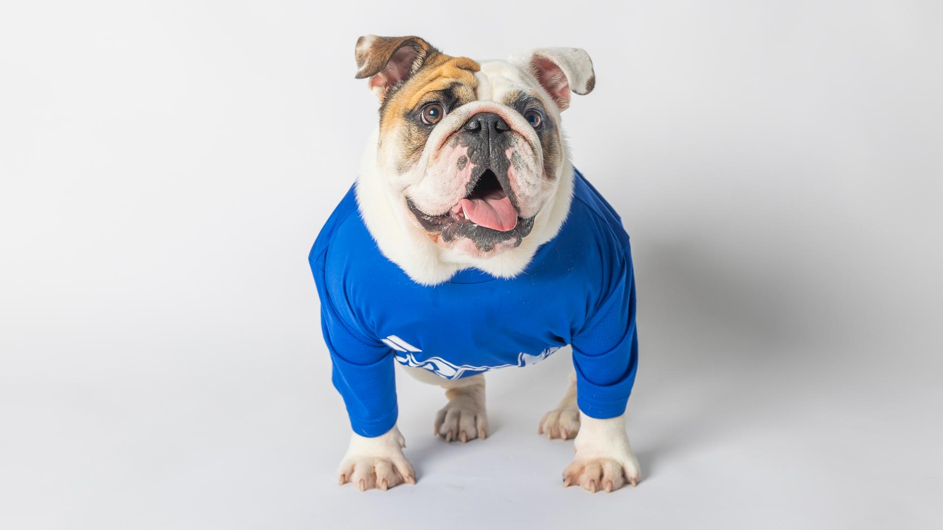 Drake University introduces successor to the Live Mascot program ...