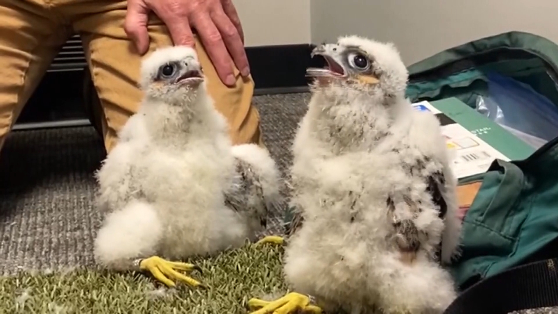 What are the signs of hypothermia? Here's how to be safe in freezing ...