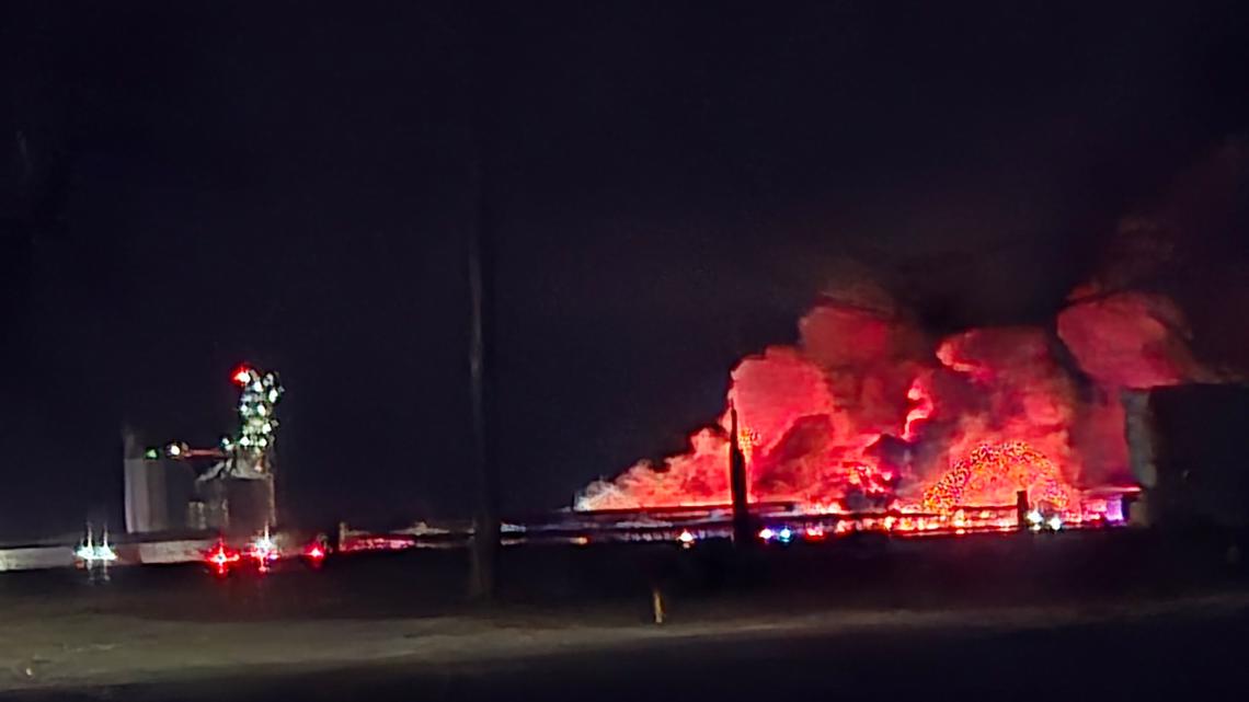 'Devastating' fire at northern Iowa egg farm kills several flocks ...