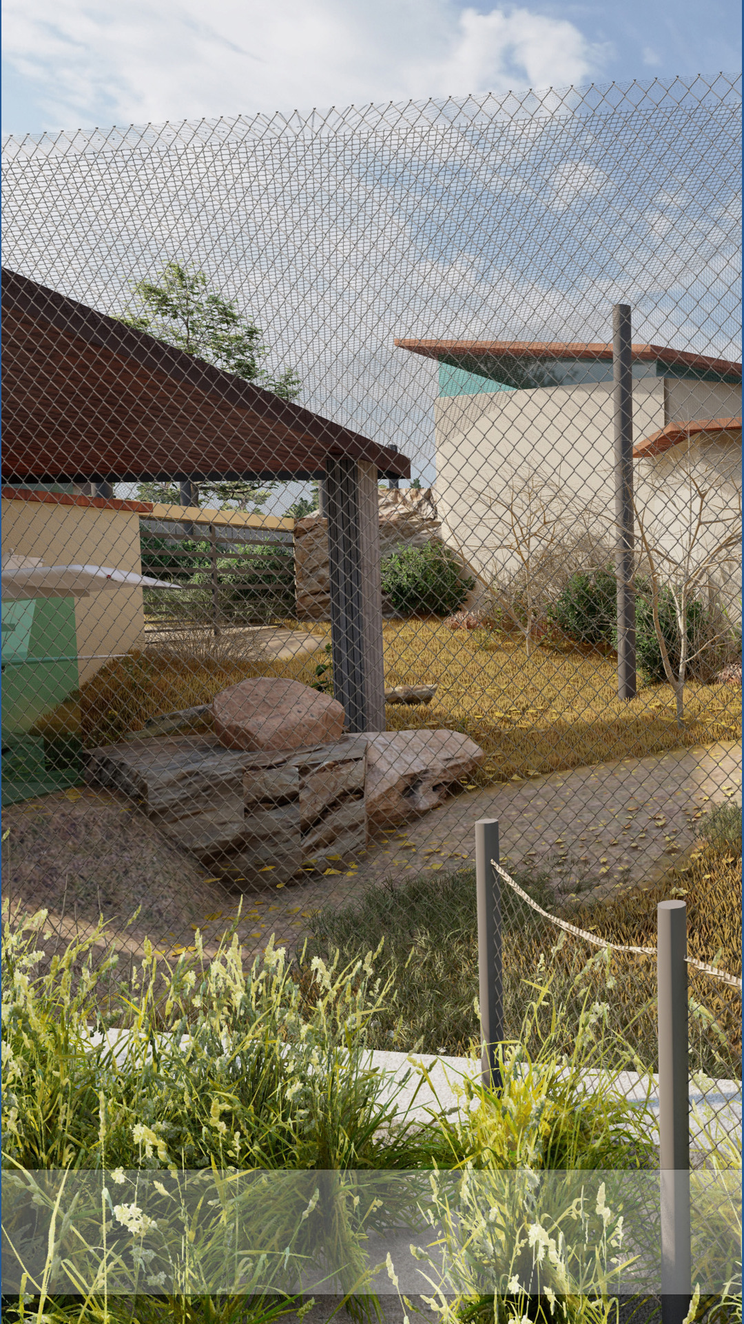 Des Moines' Blank Park Zoo to expand with new lion conservation center ...