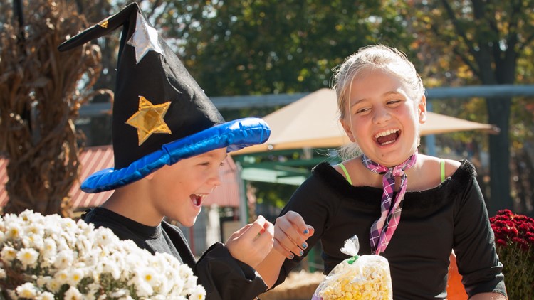 Adventureland Park announces Halloween event Phantom Fall Fest ...