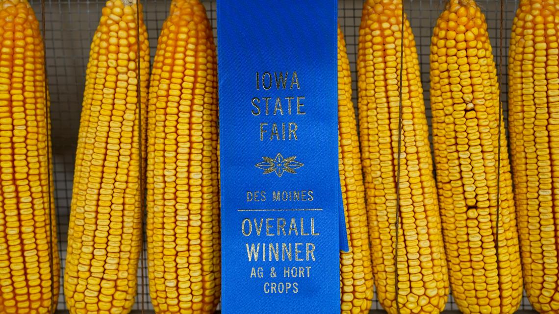 Iowa State Fair to allow outside food and beverages | weareiowa.com