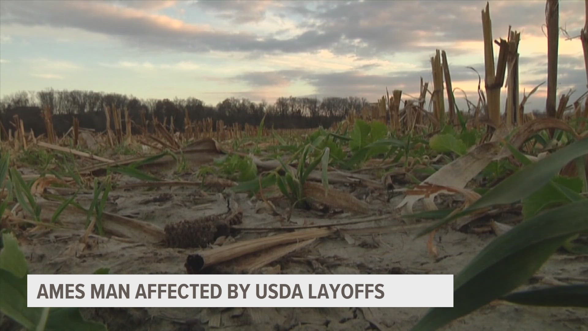 Who has DOGE fired or laid off? A comprehensive look at what's been ...