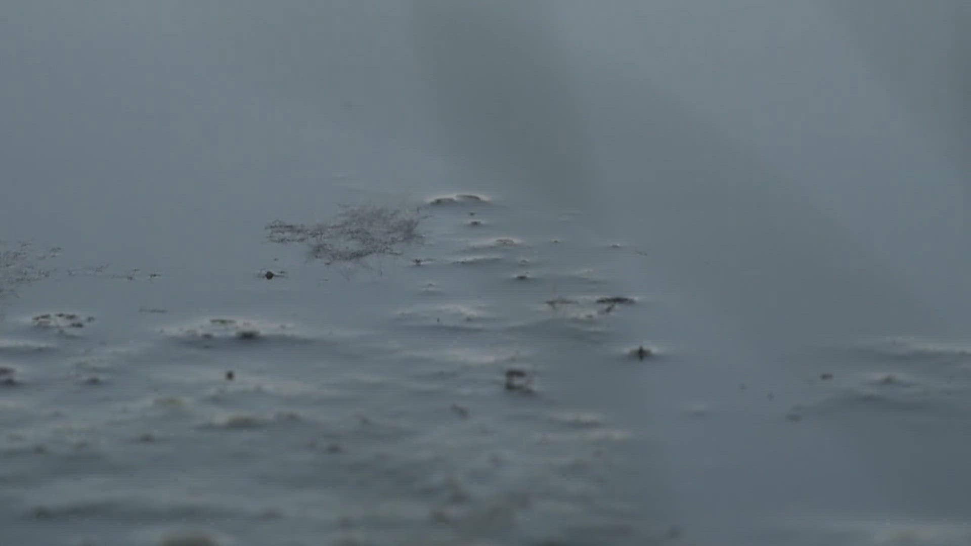Iowa DNR recommends against swimming at 4 state beaches | weareiowa.com