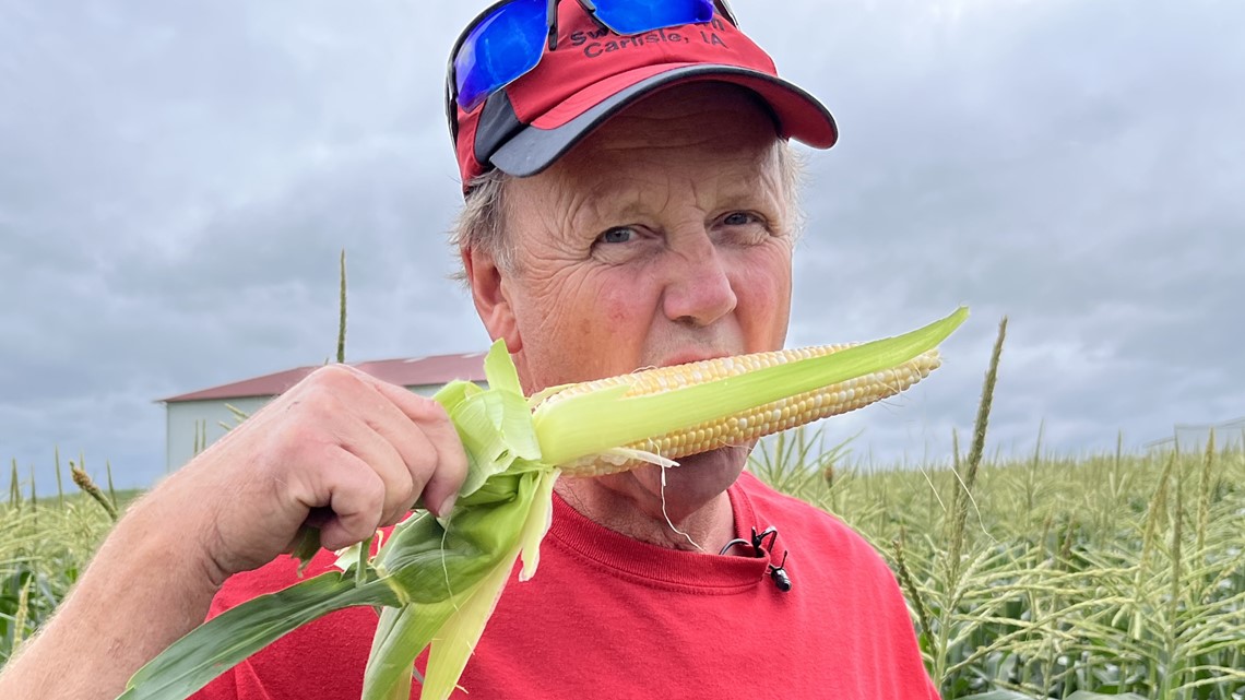 Iowan couple's sweet corn stand helps fund daughters' colleges ...