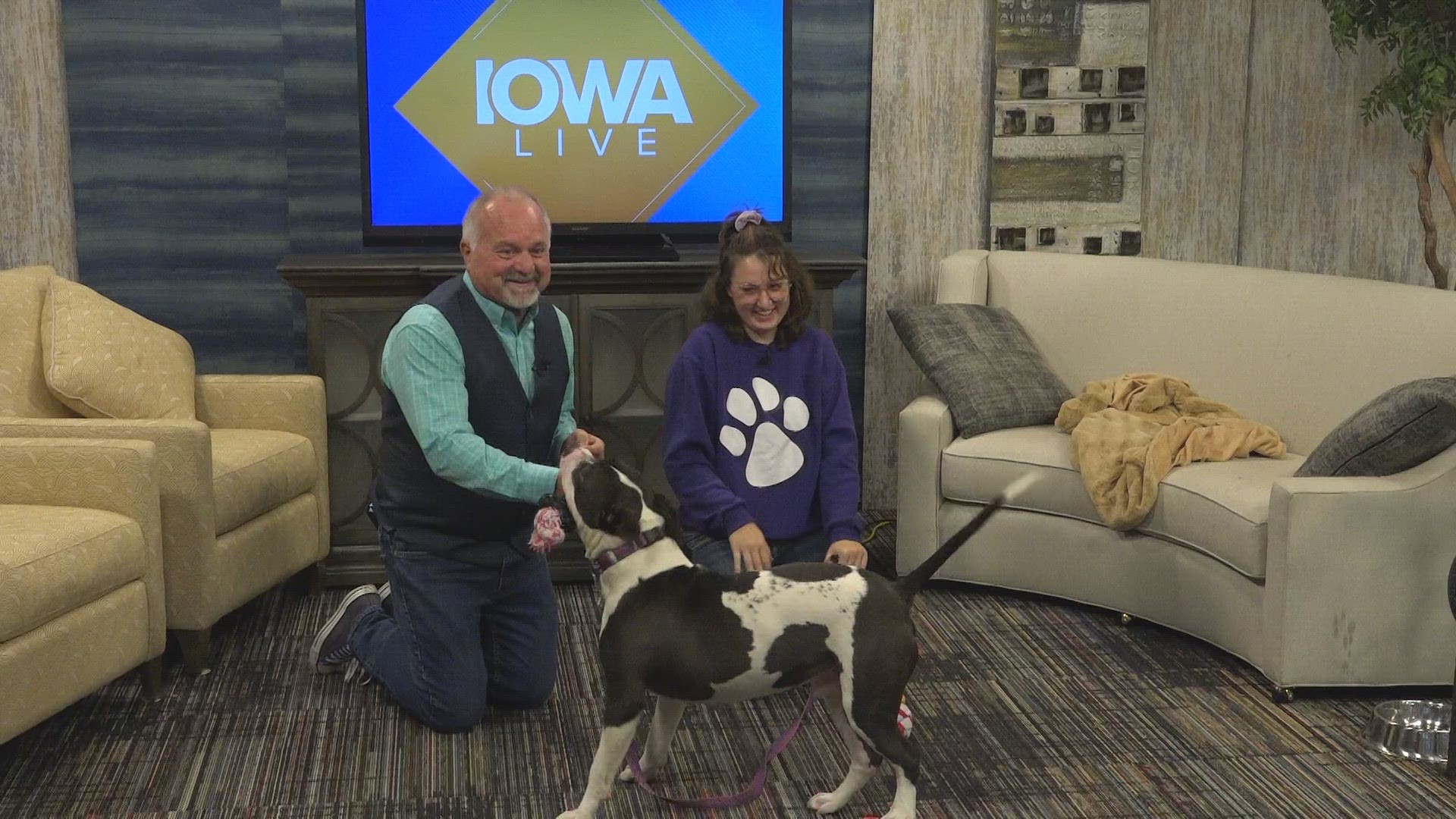 A Weekly Visit with the ARL | weareiowa.com