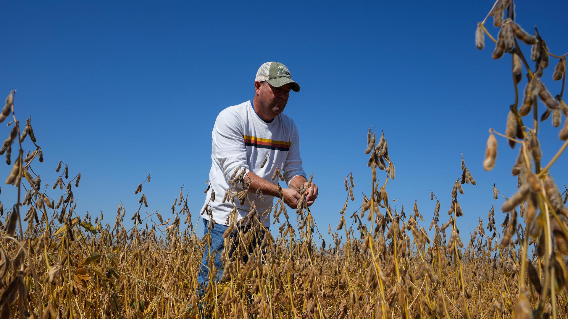 Sen. Chuck Grassley discusses reasons behind difficult farming season ...
