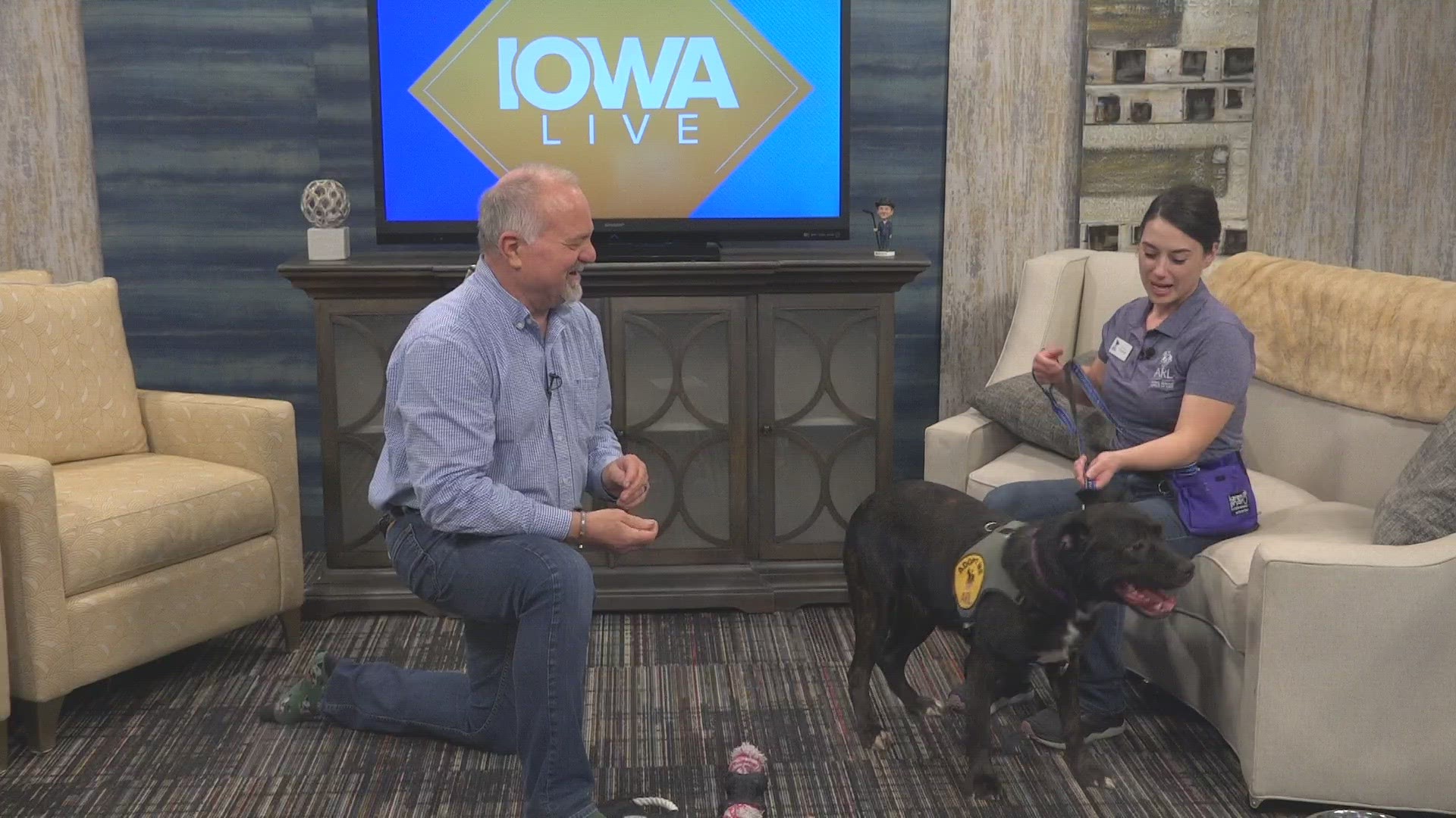 Major Fundraising Event Coming Soon with the ARL | weareiowa.com