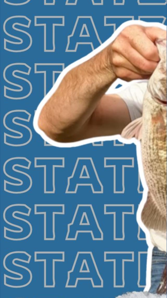 Iowan makes fish-story with record-breaking spotted bass | weareiowa.com