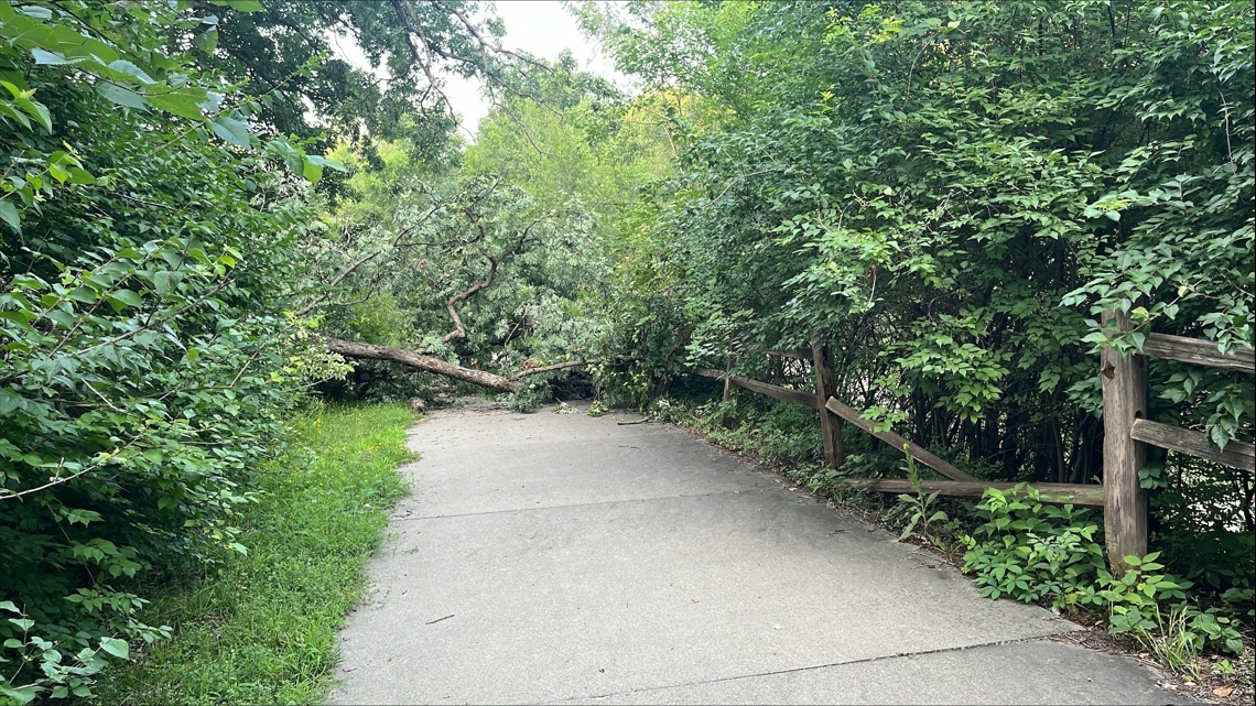 Cyclist killed by falling tree on Iowa trail, police say | wqad.com