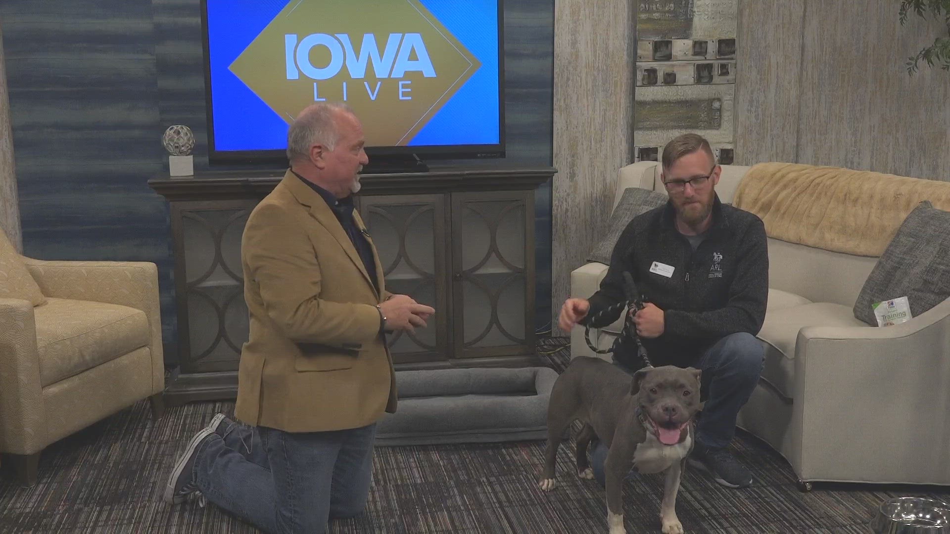 Jam Packed Weekend with the ARL | weareiowa.com