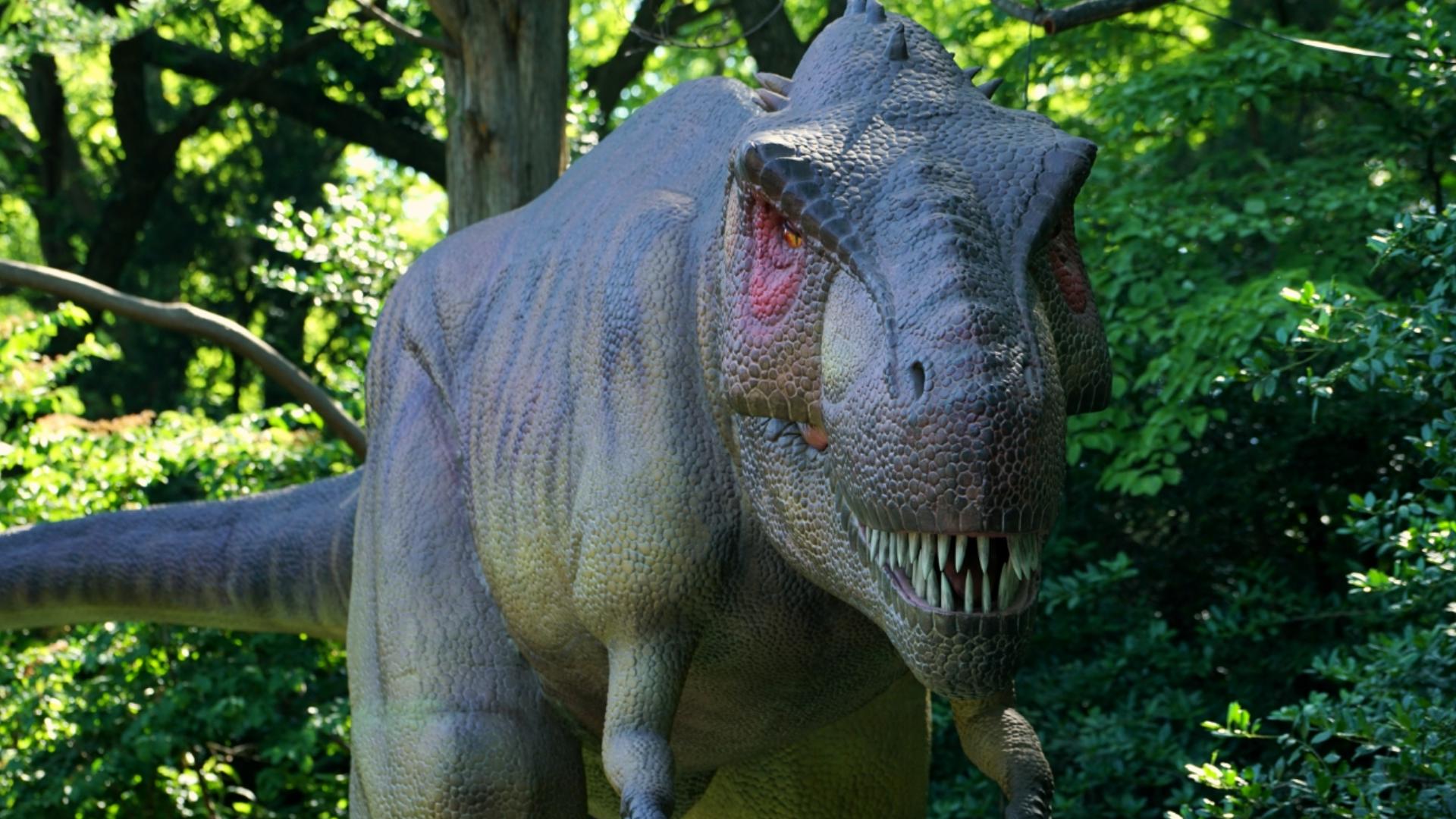 Dino Park Zoo bringing prehistoric creatures to life | weareiowa.com