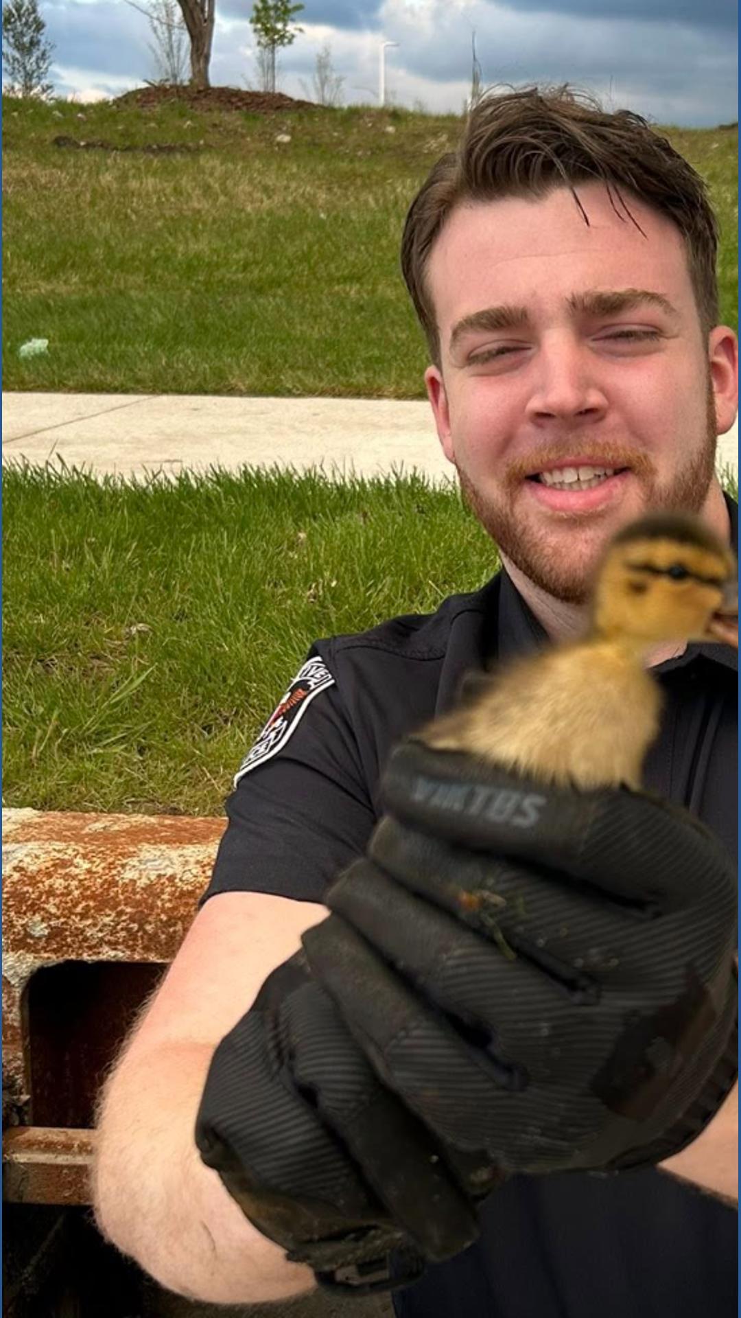 Clive police officer earns PETA award for rescuing baby duck ...