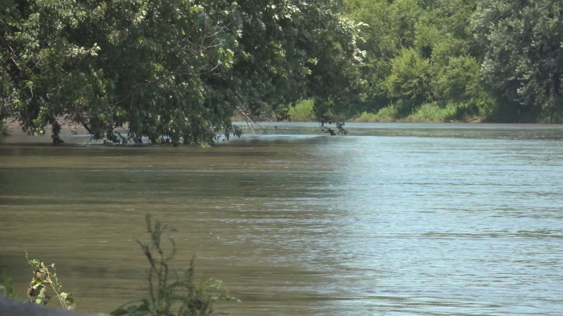 Iowa advocacy groups push for policy to improve water quality ...