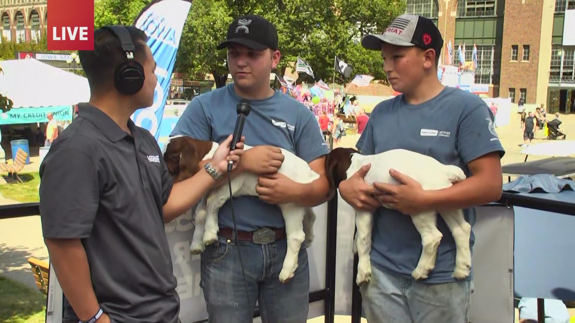 Avenue of Breeds educates Iowans about farm animals | weareiowa.com