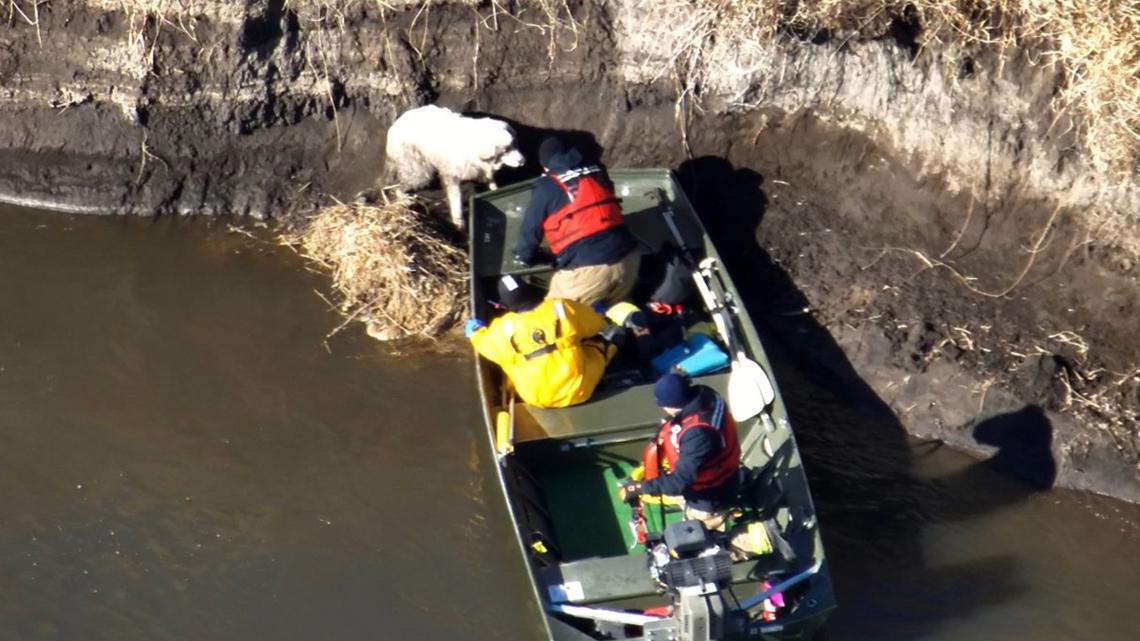 Marshalltown police, fire department rescue stranded dog from Iowa ...