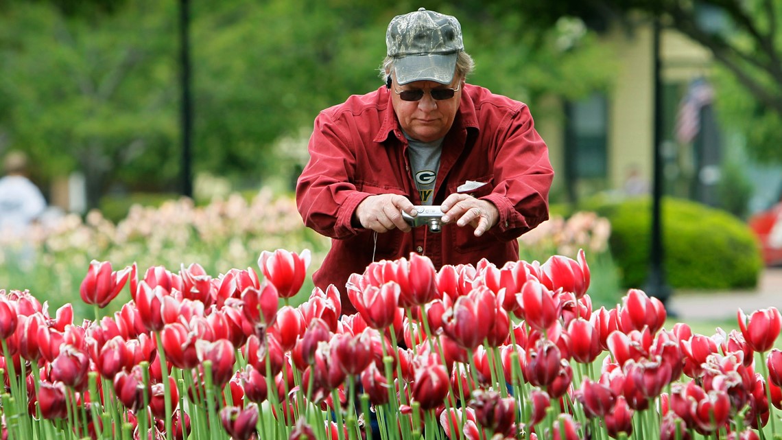 Pella Tulip Time: Dates, tickets, schedule, parking forecast ...