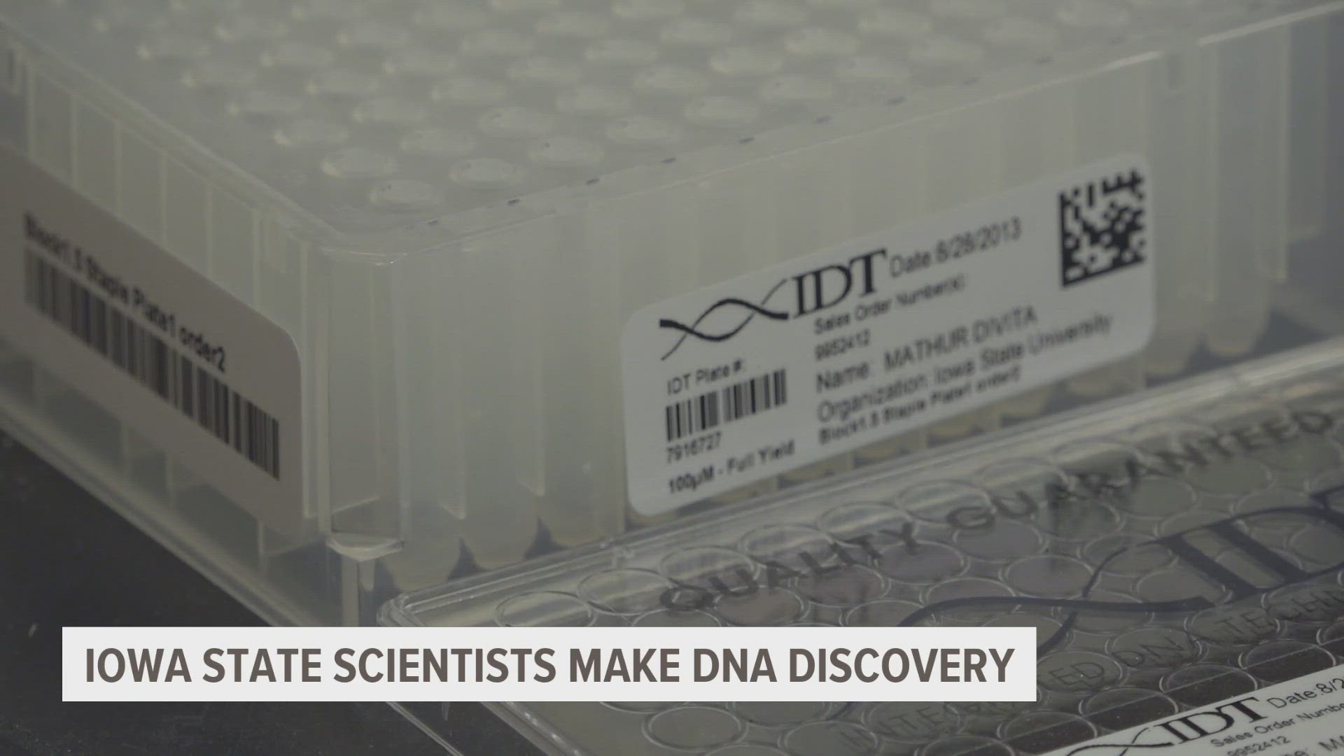 Iowa State geneticists make DNA discovery — here's why it matters ...