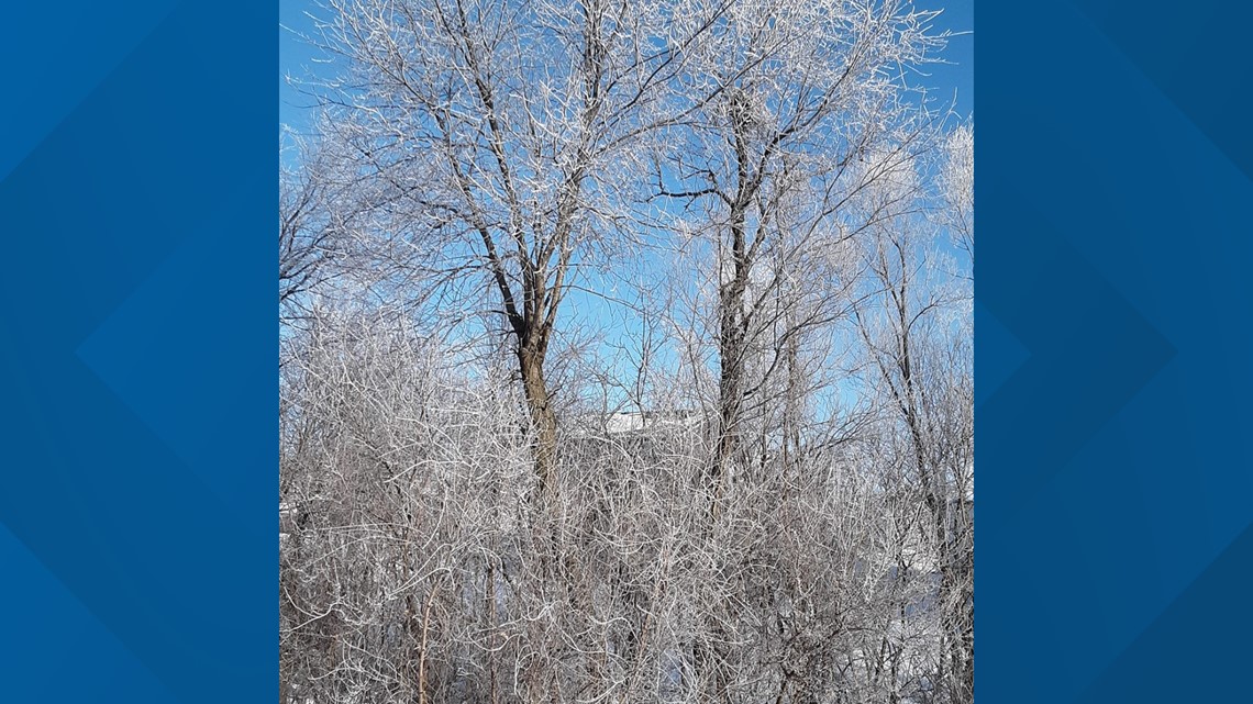 The difference between hoar frost and rime ice | weareiowa.com
