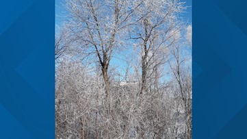 The difference between hoar frost and rime ice | weareiowa.com