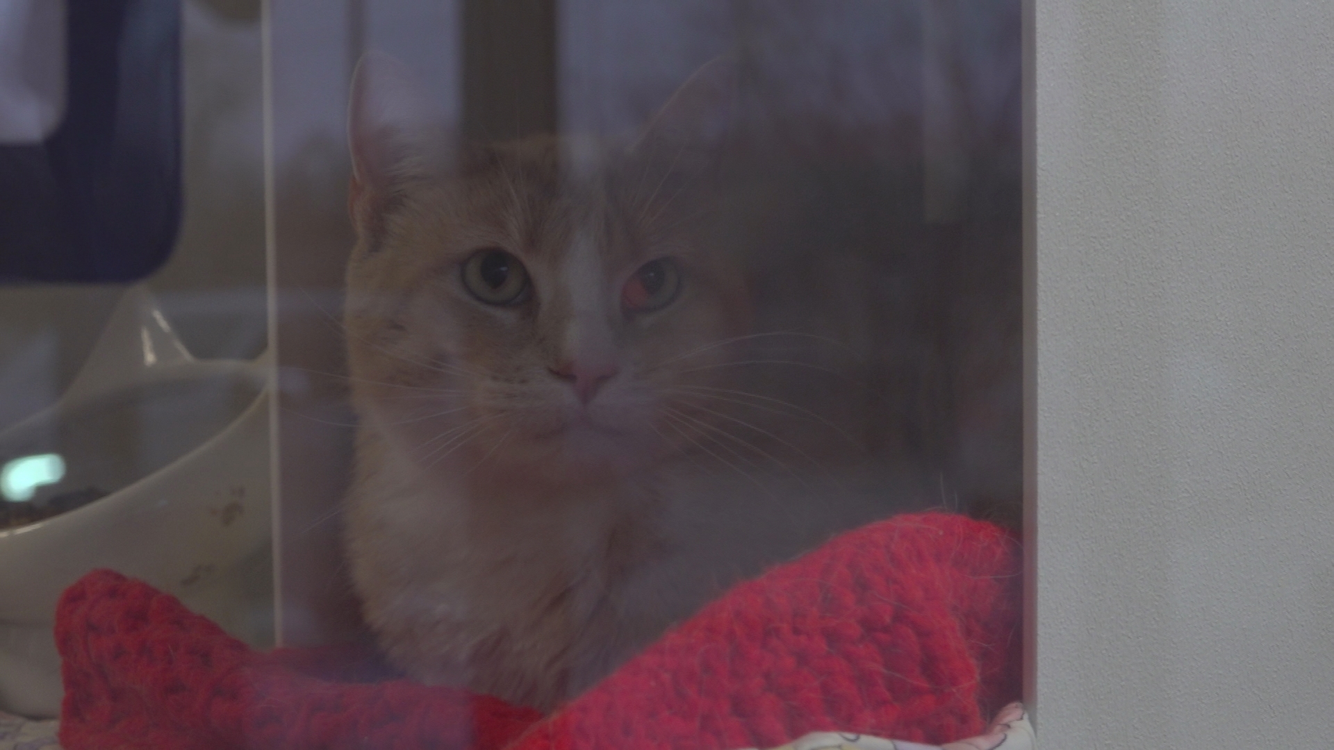 Stirtz scores 27 points, No. 25 Iowa holds off a comeback try by UCLA ...