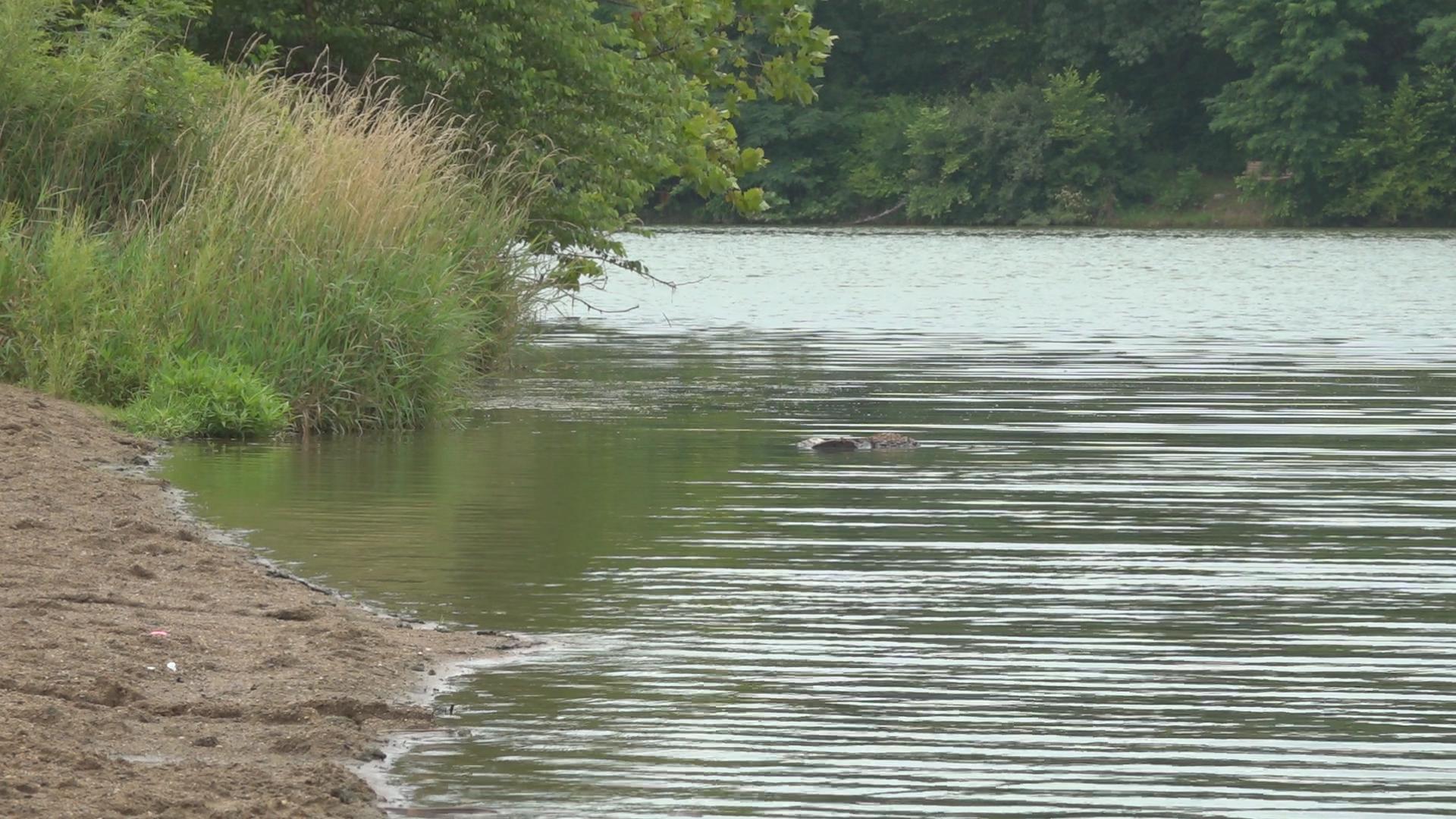 Iowa advises avoiding 12 state beaches amid E. coli concerns ...