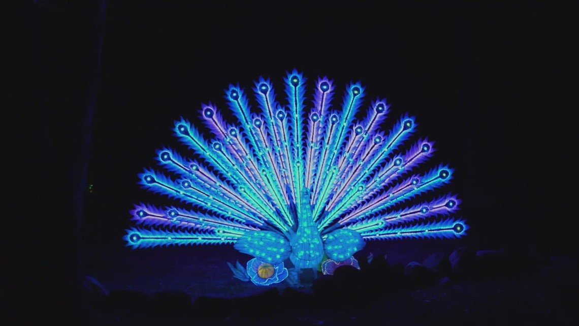 Blank Park Zoo will not host Wild Lights event this spring due to ...