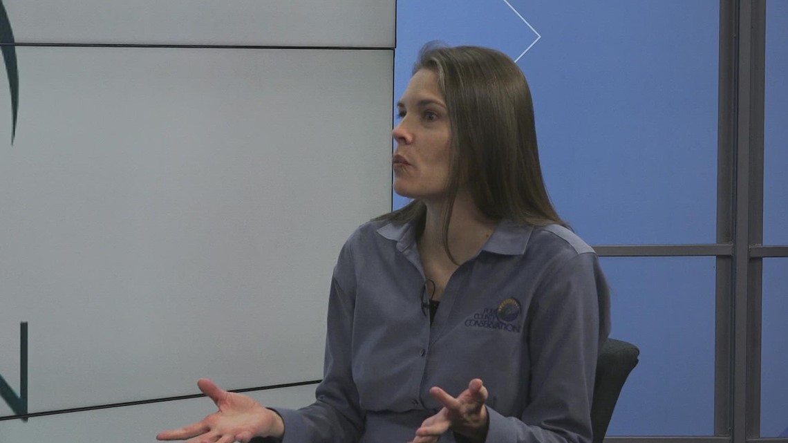 Polk County Conservation offers fun winter activities | weareiowa.com