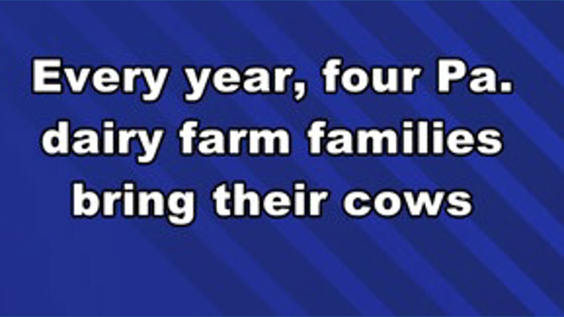 Newest additions to the calving corner at the Pa. Farm Show | fox43.com