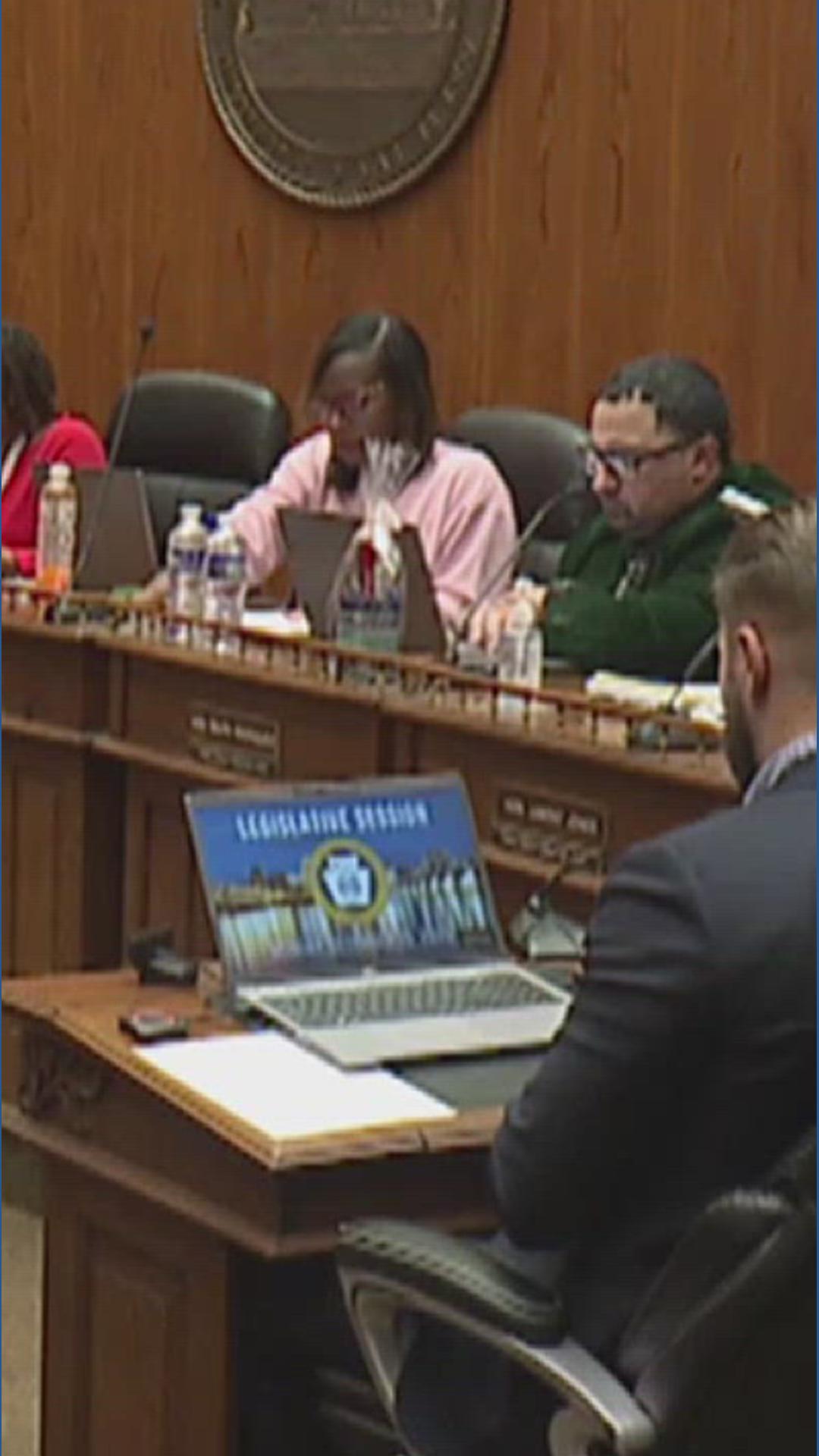 Harrisburg City Council overrides Mayor Wanda Williams' partial veto of ...