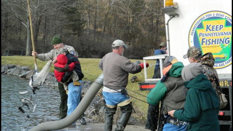 Pennsylvania trout stocking schedules available online | fox43.com