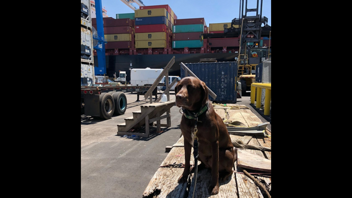 Lancaster County Drug Task Force K9 officer assists in one of the ...