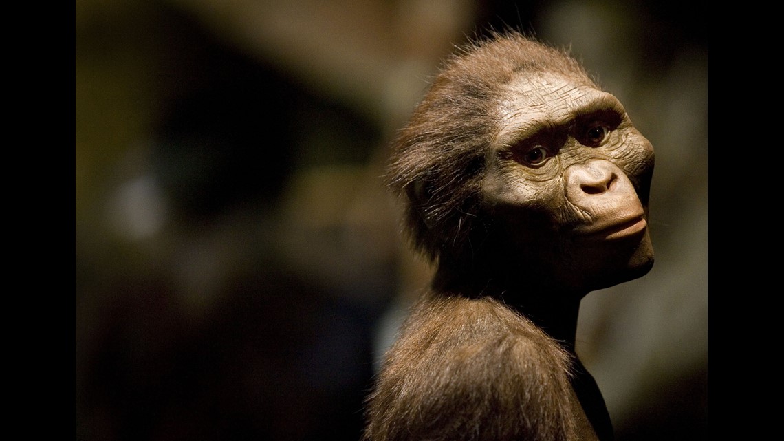 Early humans breastfed their young for a year, study says | fox43.com