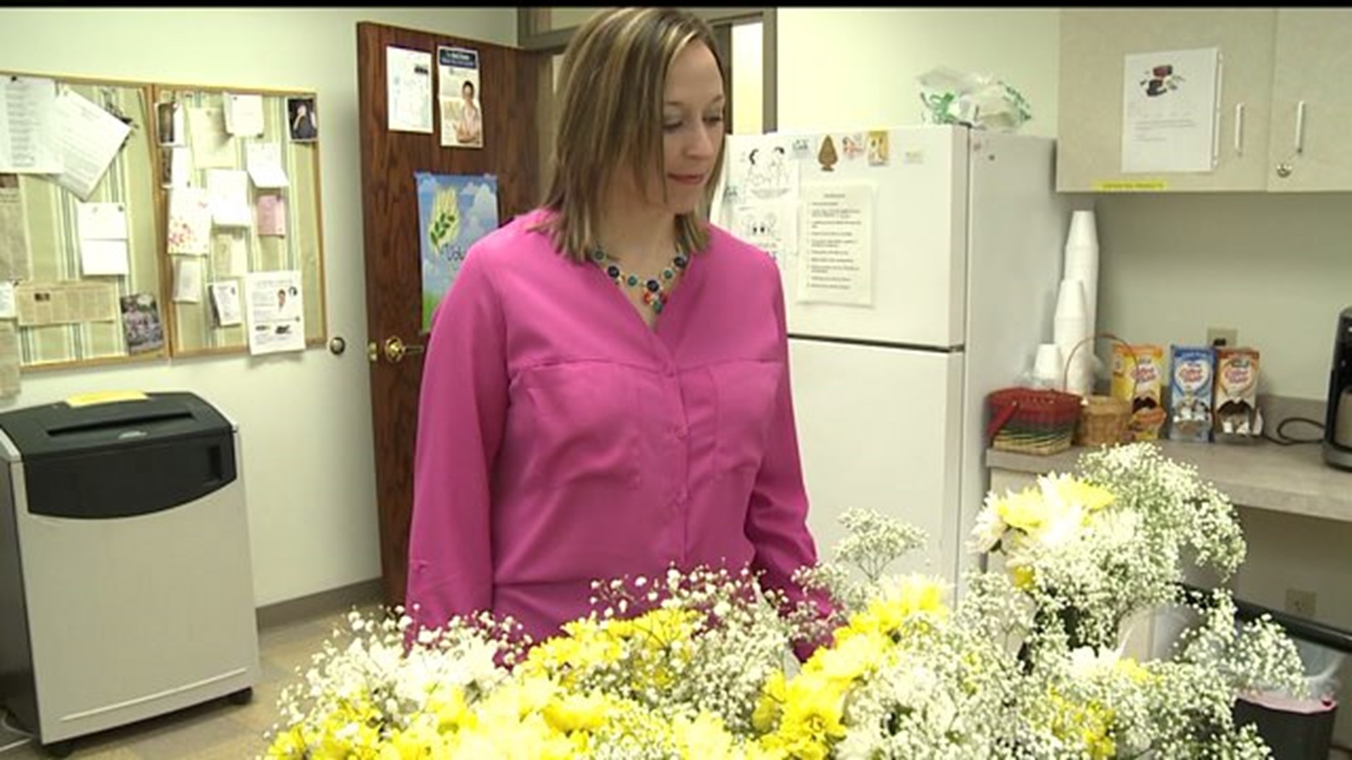 Schaefer Flowers York Pa Hours | Best Flower Site