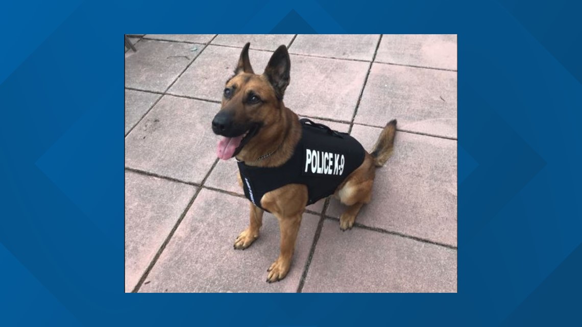 Steelton-K9-officers-receive-new-protective-vests | fox43.com