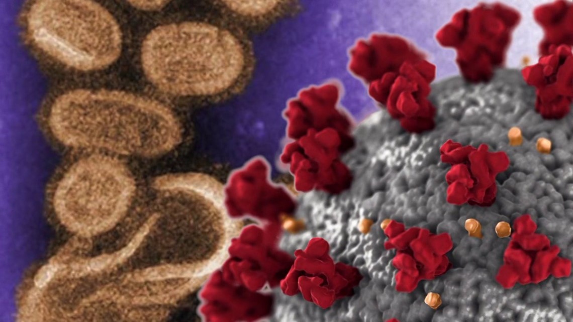 The parallels of two global pandemics: COVID-19 vs. Spanish Flu | fox43.com