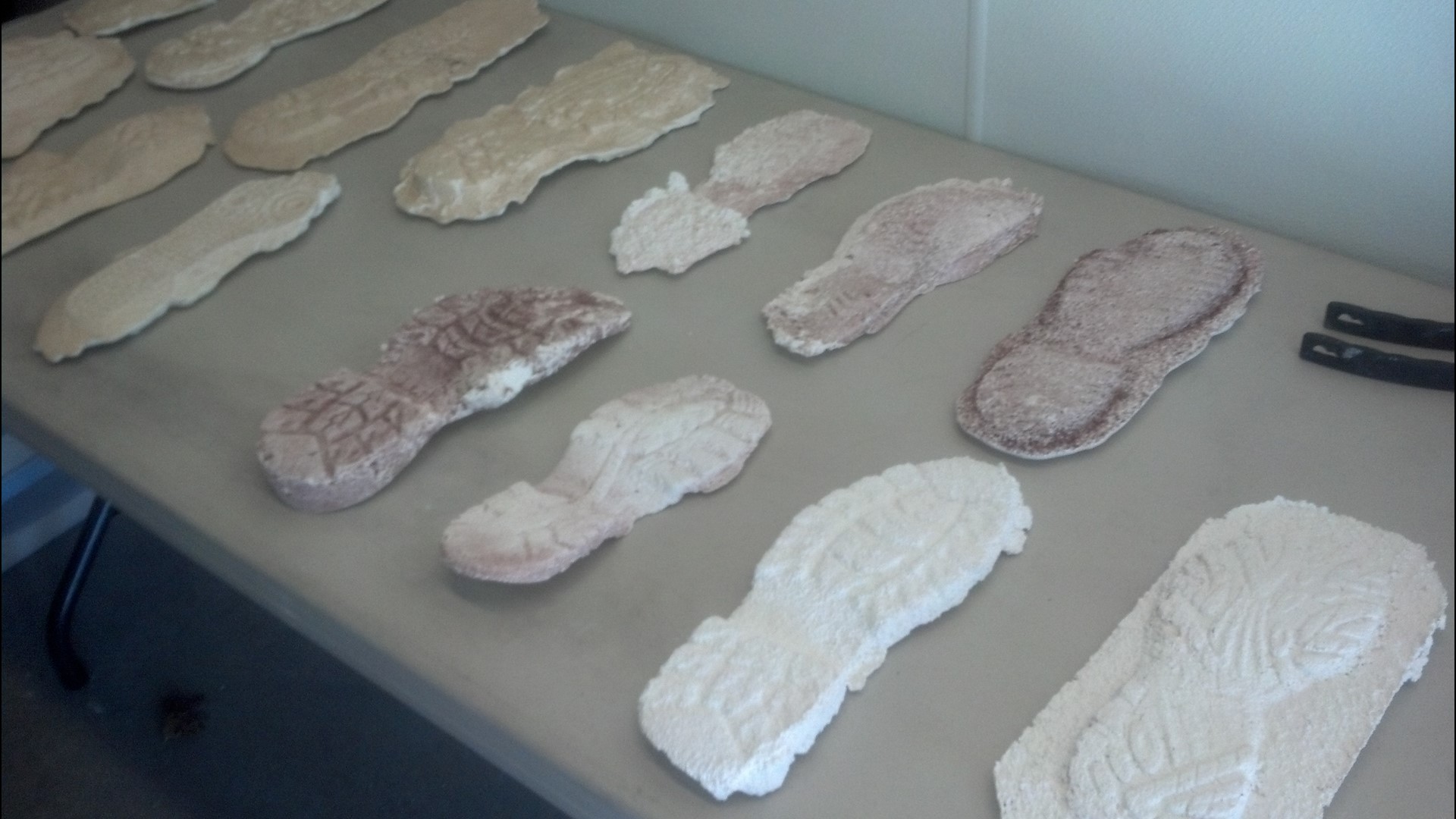 York Co. forensic lab, real life crime scene investigations | fox43.com