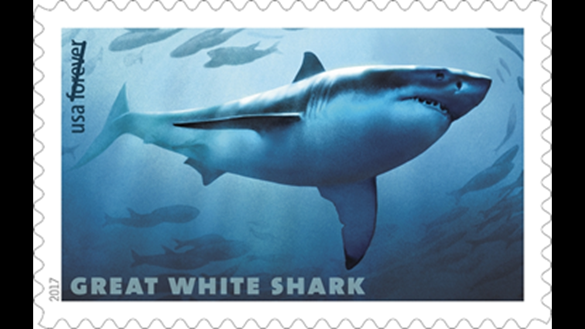 You’re gonna need a bigger envelope: U.S. Post Office to issue new ...