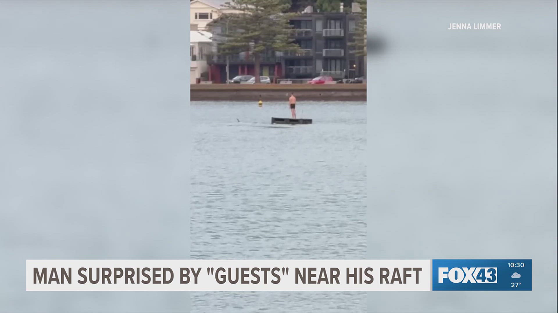 Whale Visit | fox43.com