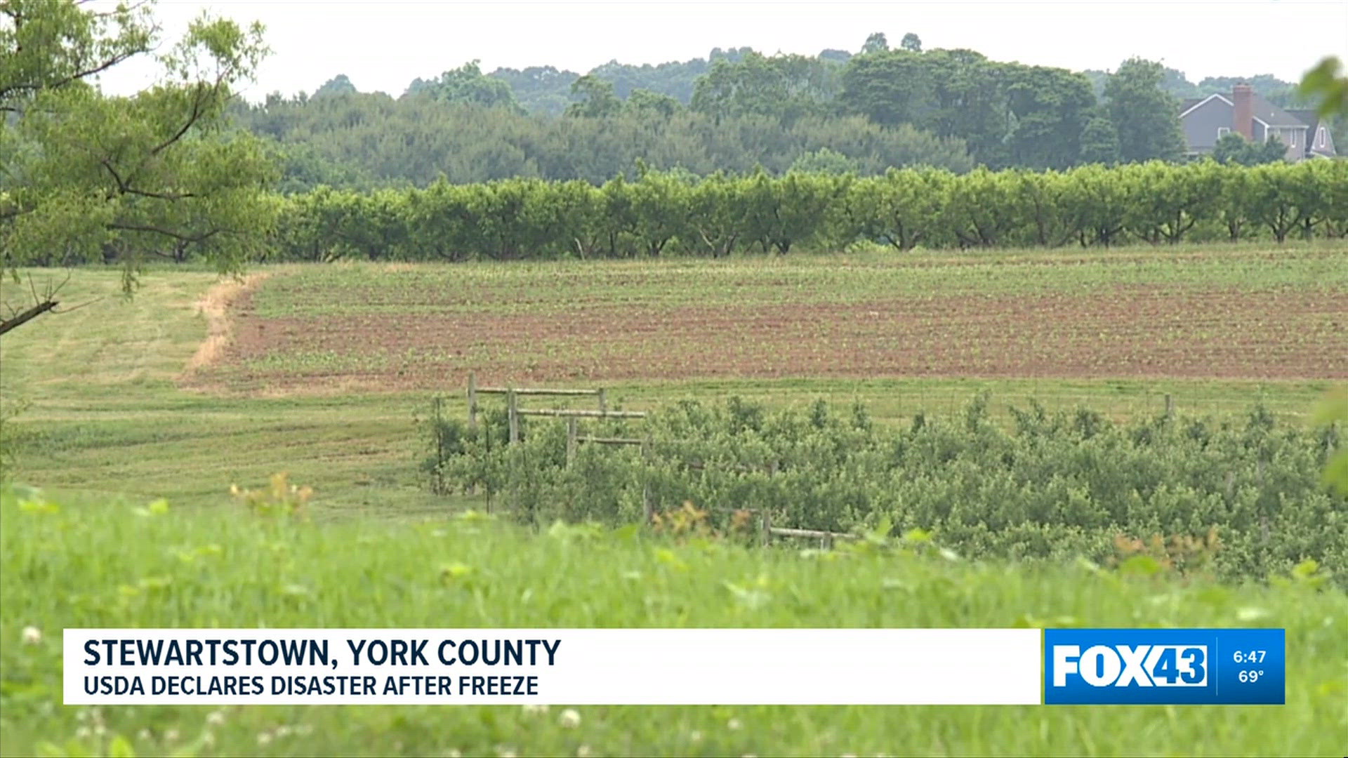 USDA disaster declaration aims to help farmers impacted by crop-killing ...