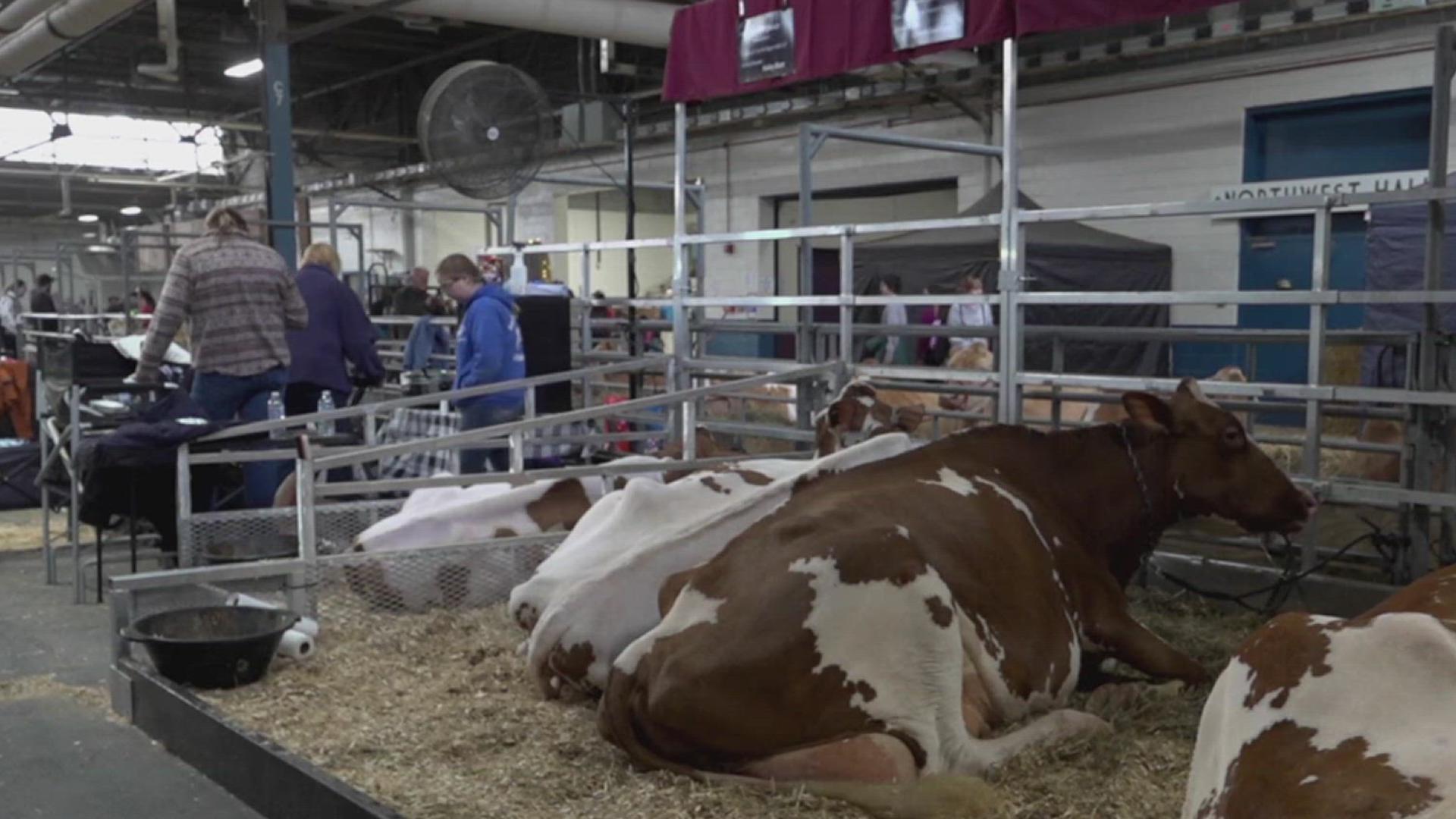 After 'comprehensive review' of viral youth hockey fight, team ...