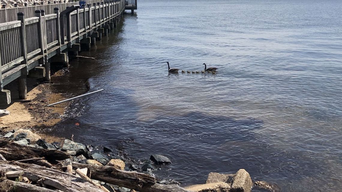 Sights of spring across Central Pa. | fox43.com