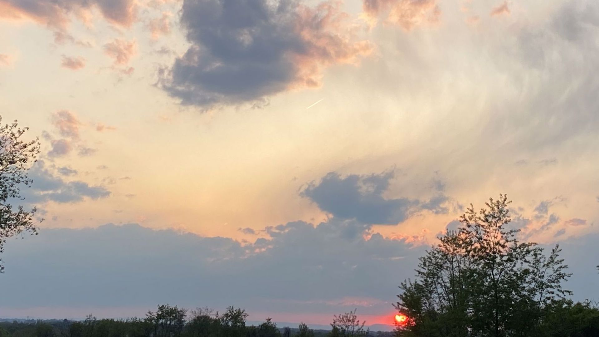 Sights of spring across Central Pa. | fox43.com