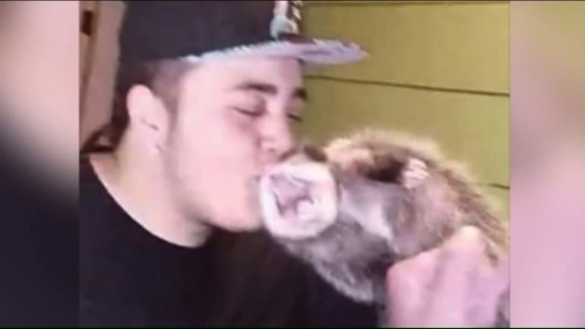 Photos of young men allegedly abusing possum goes viral on social media ...