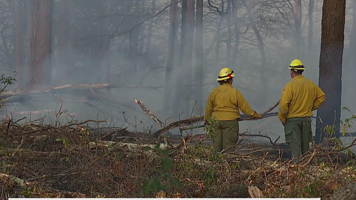 Michaux State Forest fires under control, per DCNR | fox43.com