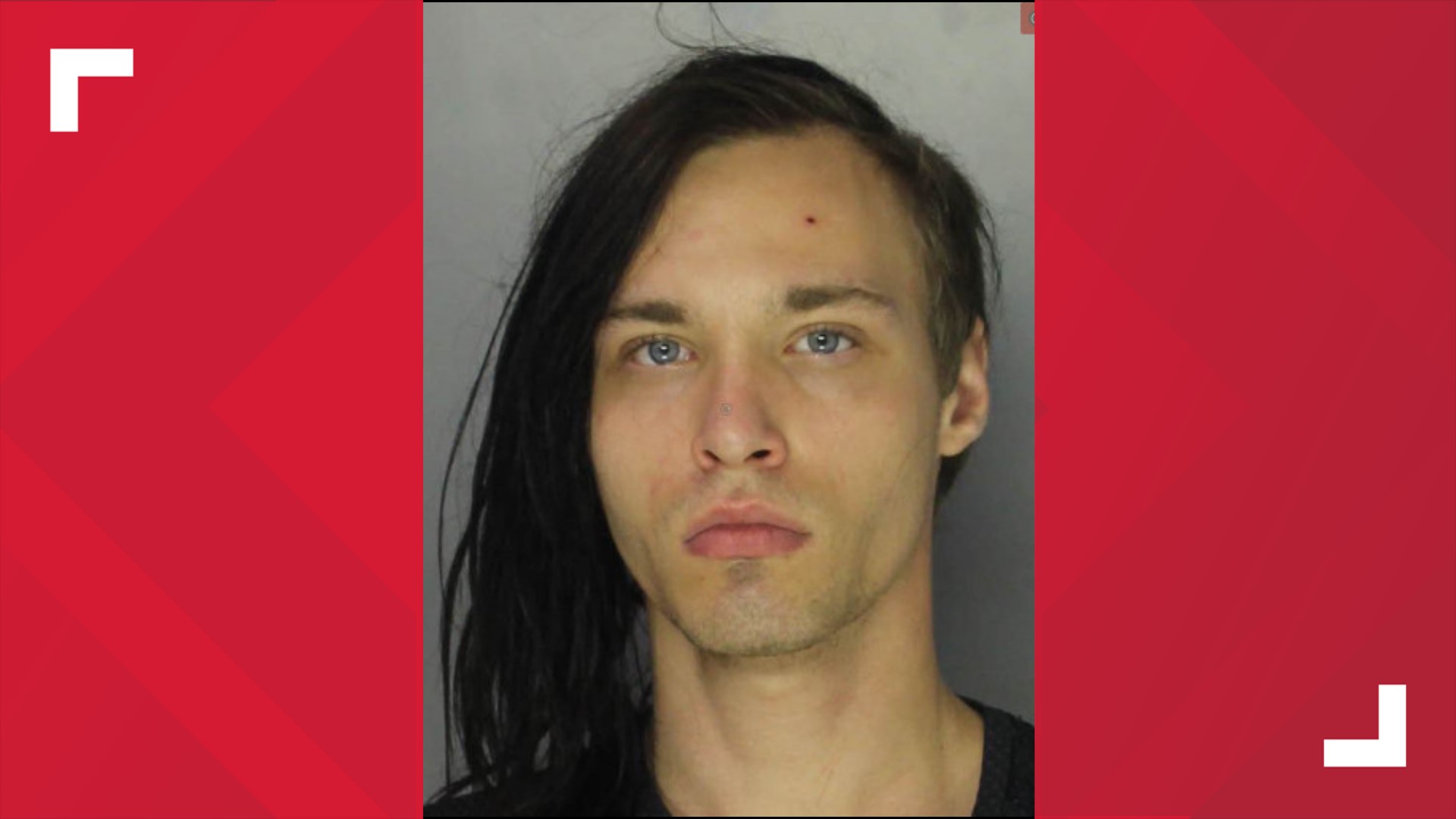 Police arrest three men for vandalism of 30 vehicles | fox43.com