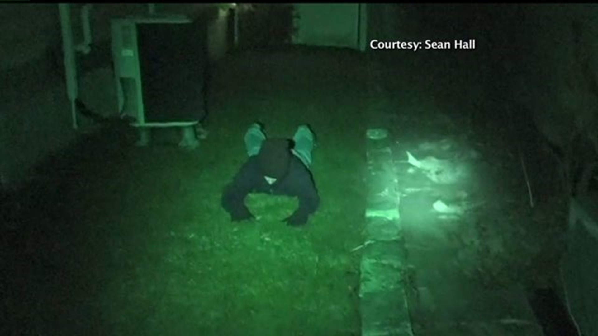 Alleged stalker caught on video by private investigator hired by victim ...