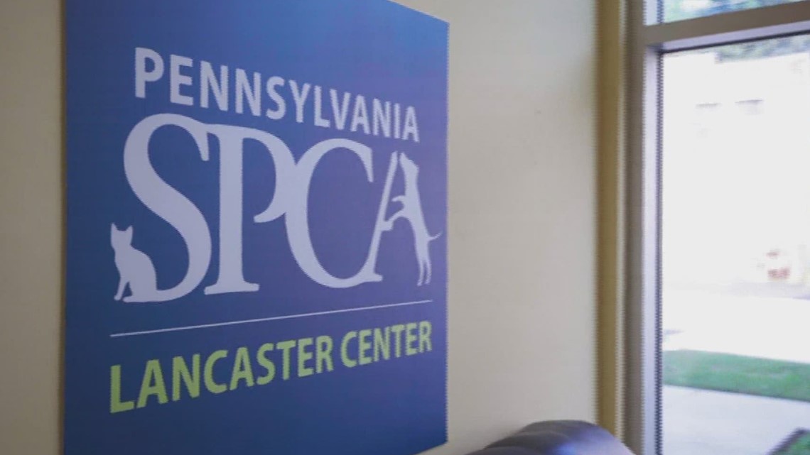 Lancaster SPCA update: Dogs relocated due to heat | fox43.com