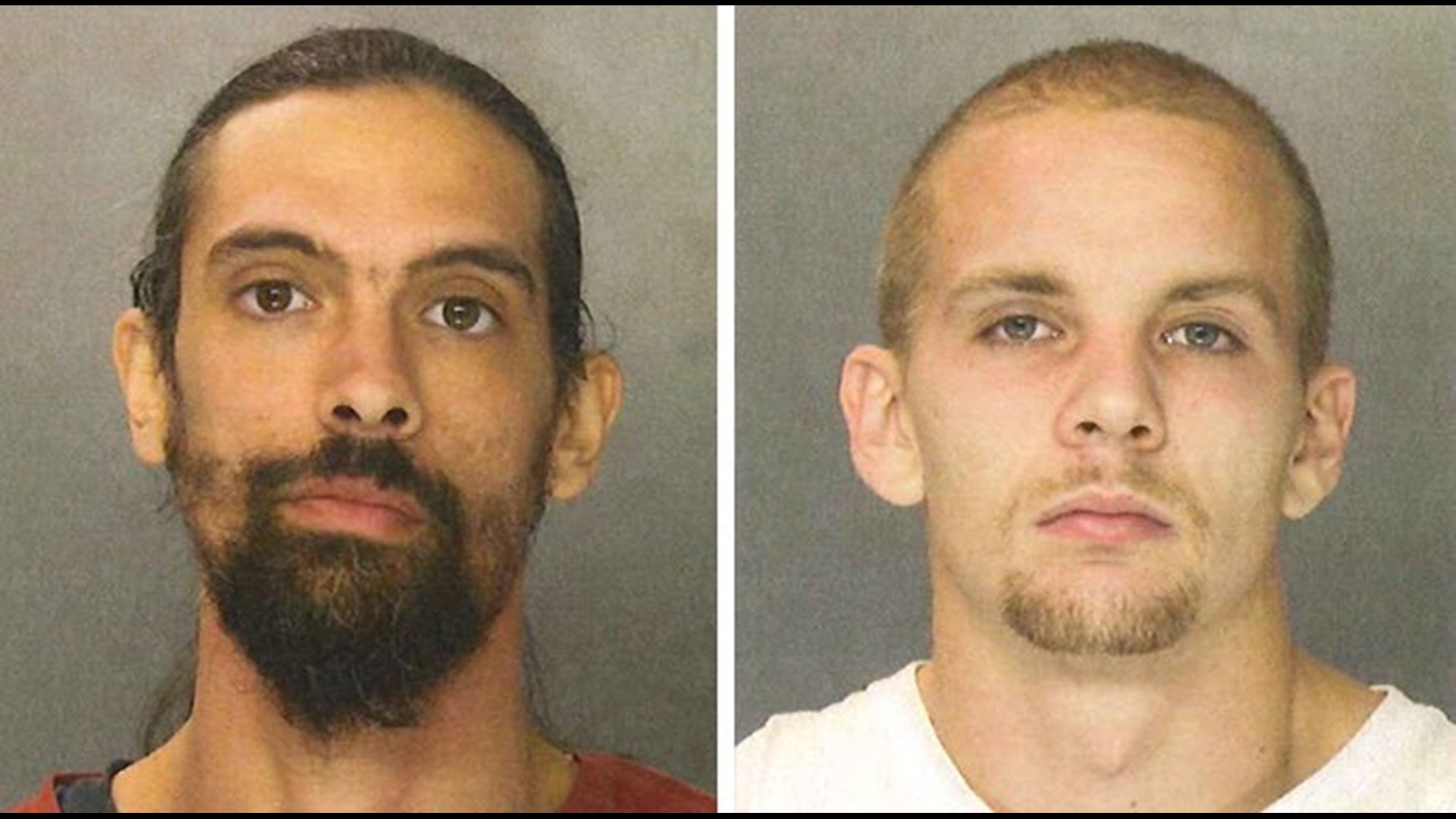 Two men charged for slitting dog’s throat | fox43.com