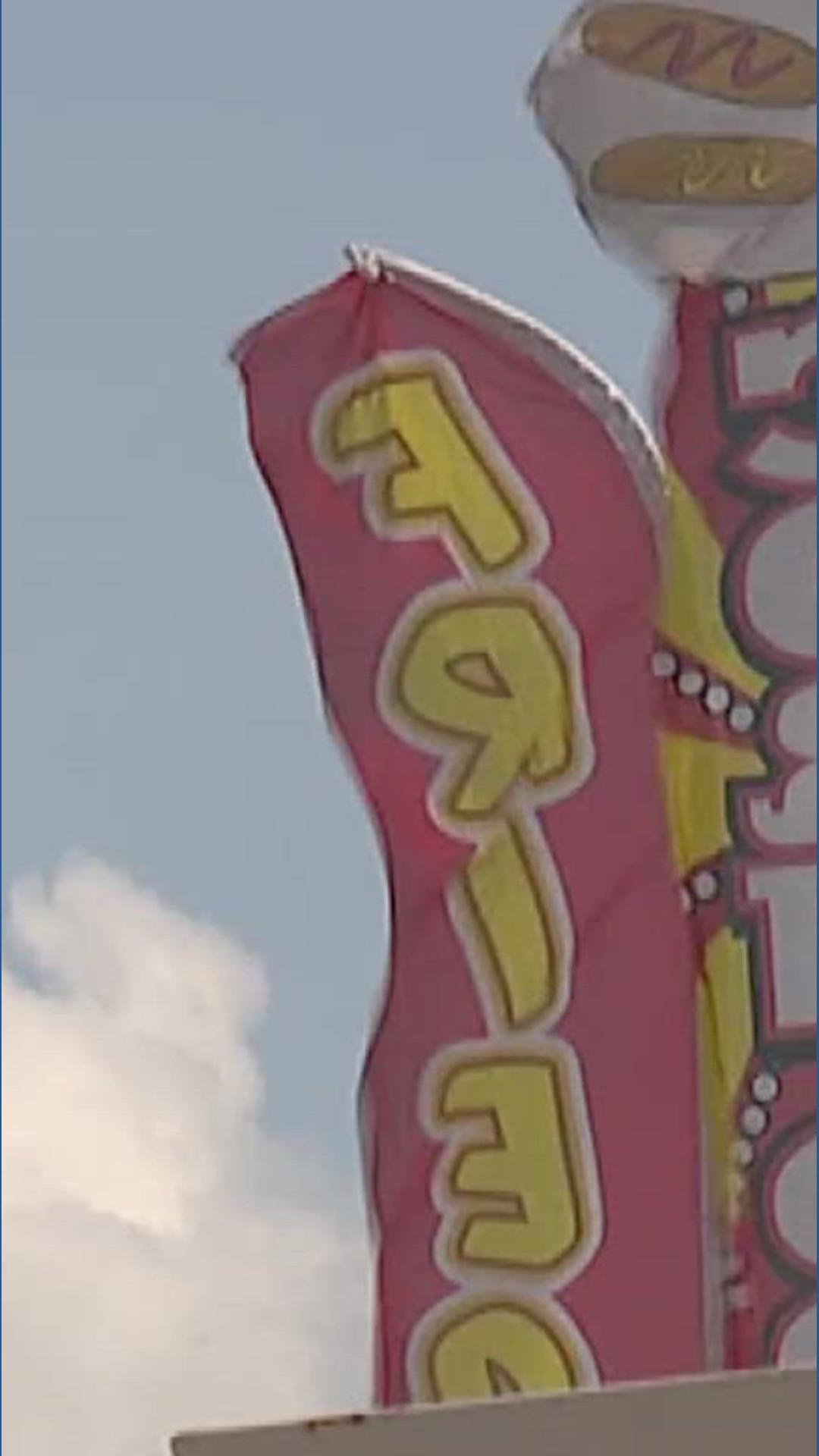 York State Fair rides and food delight visitors | fox43.com